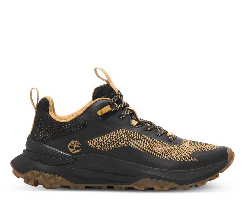 Shop Men’s Motion Access Low Lace-Up Sneaker Online | Timberland Australia